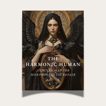 The Harmonic Mandala – The Occult Château